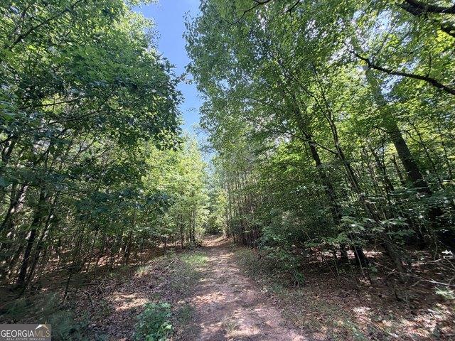 8 Bunch Rd, Tignall, GA 30668
