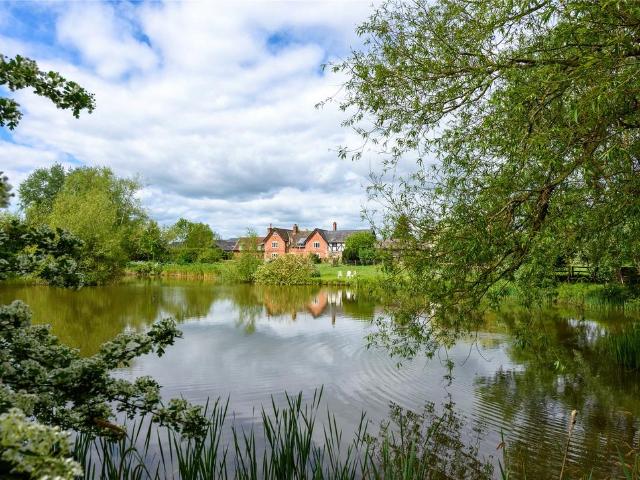 8 bedroom equestrian facility for sale