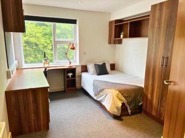 8 bedroom flat to rent