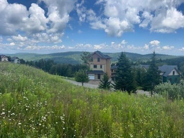 8 bedroom, Snowshoe WV 26209 104903112