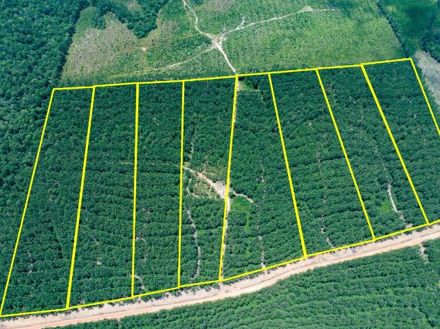 8 Benny Griffin Rd, Livingston, TX 77351 | MLS #40311 | Compass