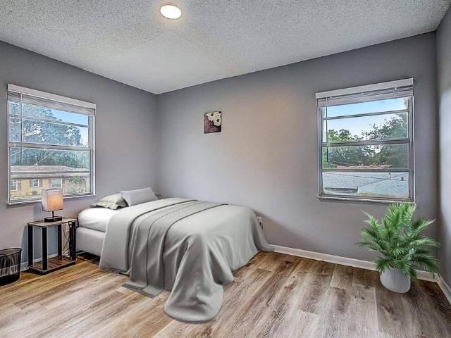 7 BR in Tampa