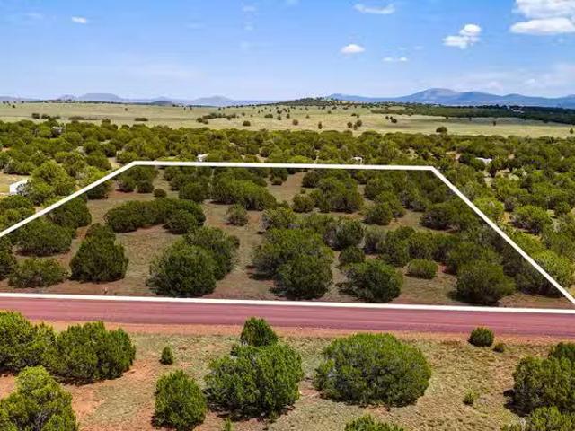 8 County Rd, Vernon, AZ 85940 MLS 251534