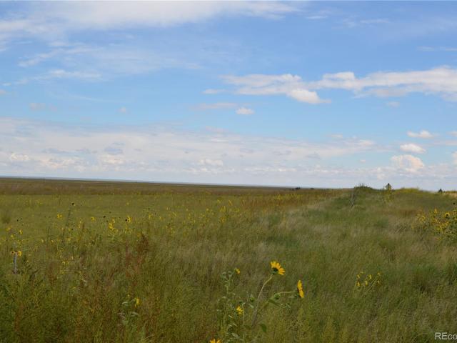 8 County Rd, Rush, CO 80833 | MLS #3093