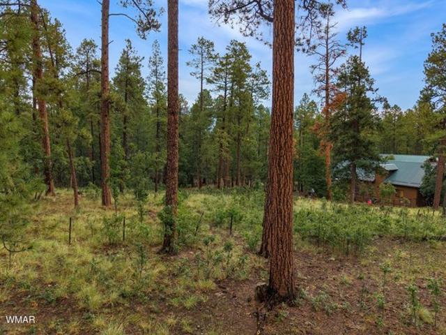 8 County Road 2070 Unit 137, Alpine, AZ 85920