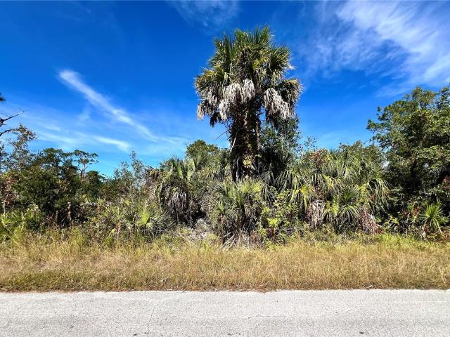 8 Detroit Ave, Hudson, FL 34667 | MLS #TB8447