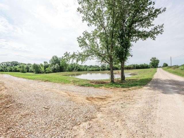 8 halyon estates