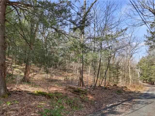 8 Hemlock Rd