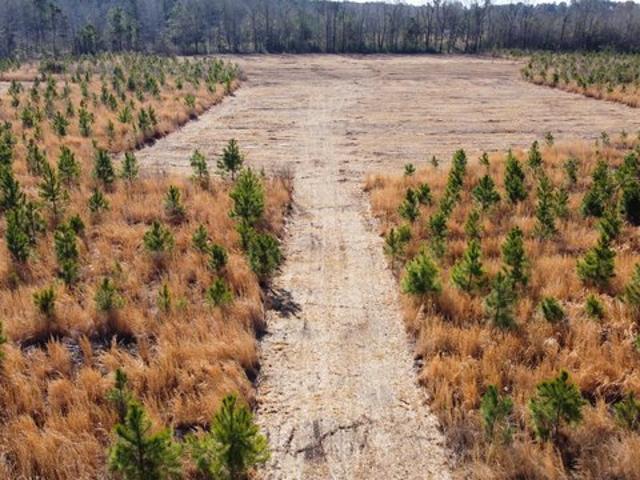 8 Highway 6, Cross, SC 29436