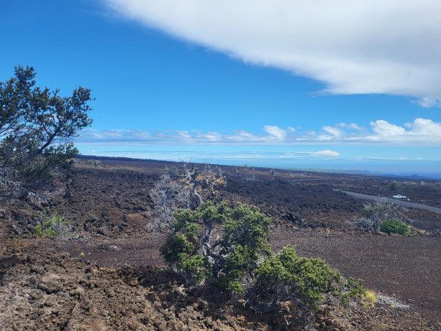 8 Jasmine Dr, Ocean View, HI 96704 | MLS #727266