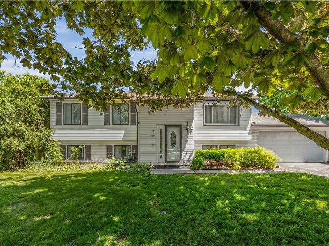 8 Kinmont Drive