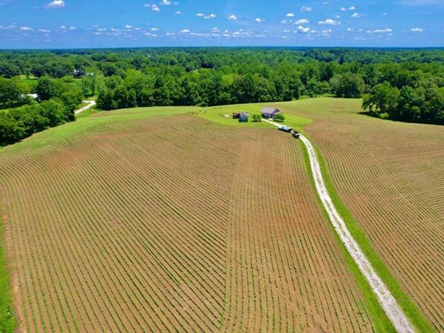 8 Lambs Ferry Rd, Leoma, TN 38468