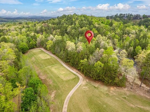 8 Largo Dr, Hot Springs Village, AR 71909