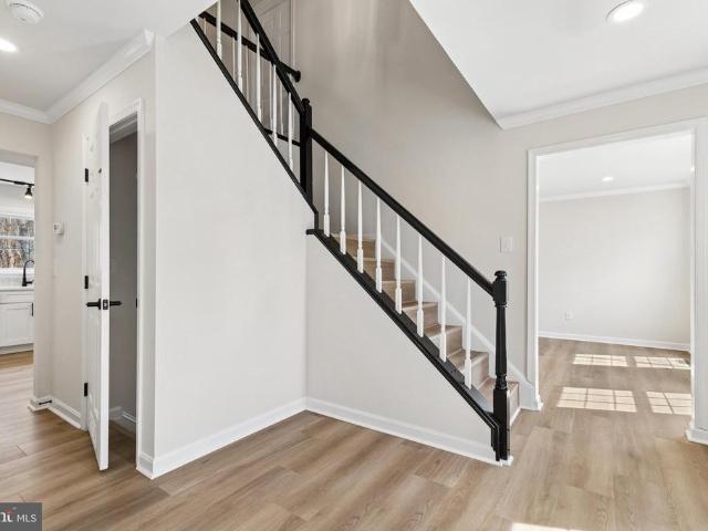 8 Lawhorn Road