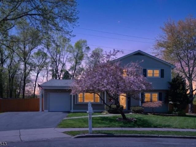 8 Lee Ct, Mount Olive Township, NJ 07836