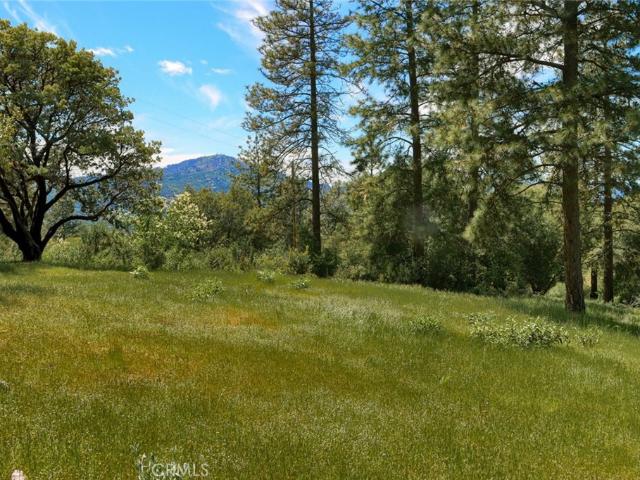 8 Lot Timberwood Lane