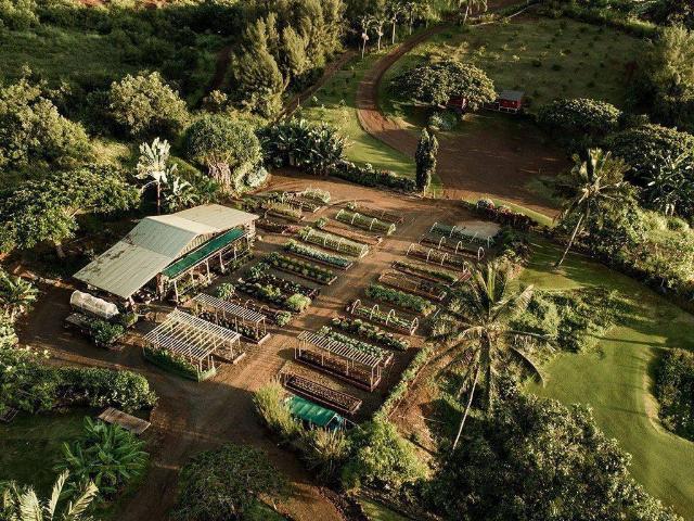 8 Lot H Noho Kai St, Koloa, HI 96756 | MLS #731712