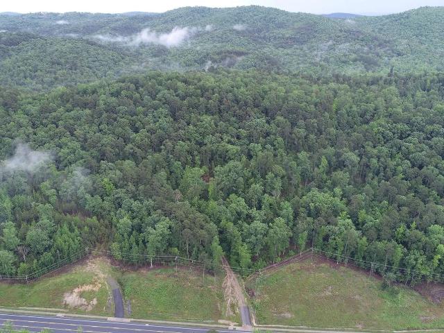 8 Pintuerero Ln, Hot Springs Village, AR