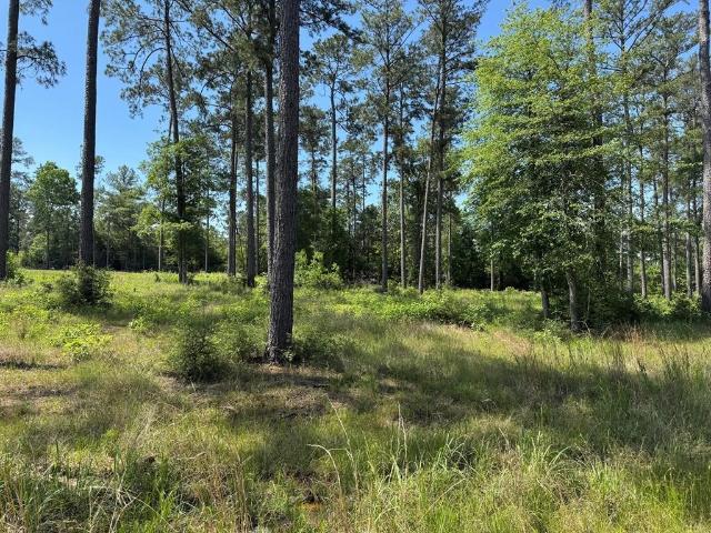 8 Private Road 6028, Brookeland, TX 75931 | MLS #94565 | Compass