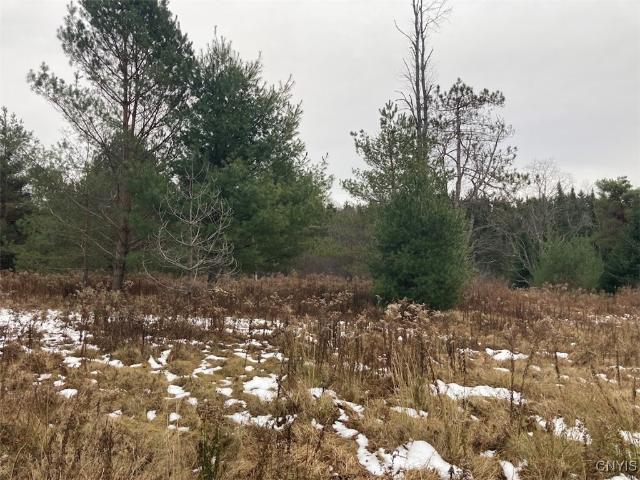 8 Rt, Ohio, NY 13324 | MLS #S1651 | Compass