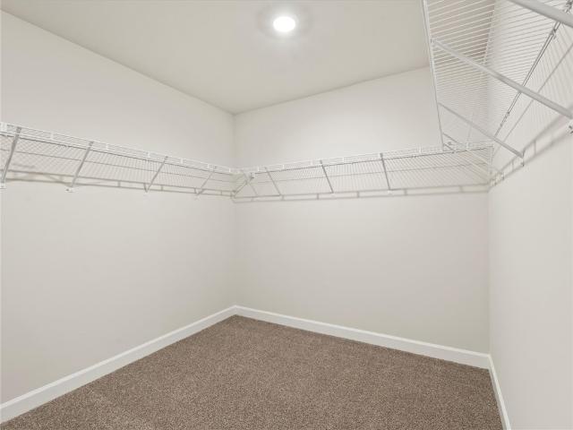 8 Swan grove Trail