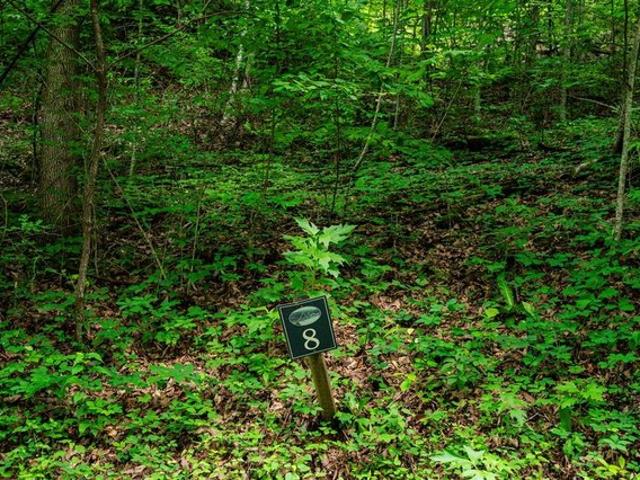 8 Skyview Dr, Hayesville, NC 28904