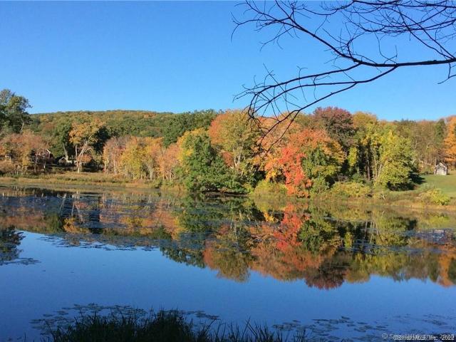 8 Tamarack Ln, Unit 8, Woodbury, CT 06798 | MLS #24123