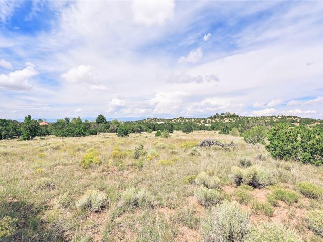8 Toribelle Trail