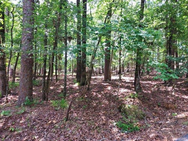 8 Villano Ln, Hot Springs Village, AR 71909