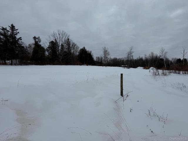 8 Yellow City Rd, Amenia, NY 12501 | MLS #958125
