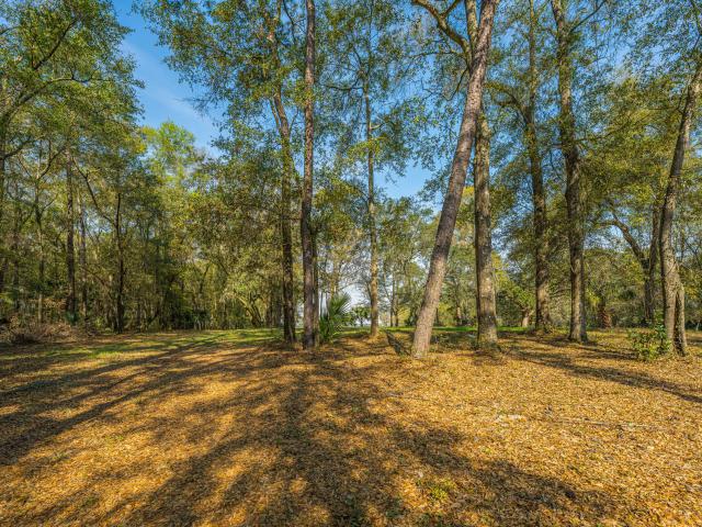 8 Yellow House Pl, Charleston, SC 29492 | MLS #26012