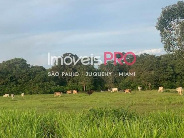 8.159,58 hectares, escuta proposta