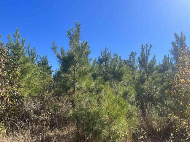 8 17 13 Cypress Creek Field Rd