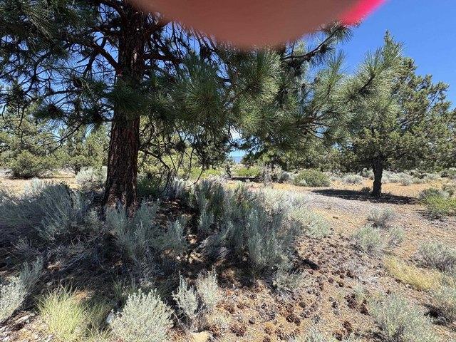 8 1 Lakeside Dr Lot 234, Weed, CA 96094
