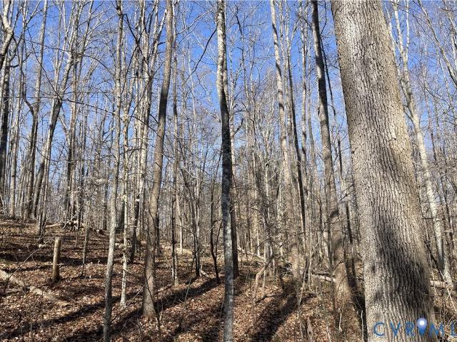 8.2 ac Plantersville Rd, Drakes Branch, VA 23937 | MLS #2605