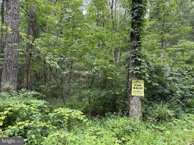 8.34 Acres On Arnold Stickley Rd