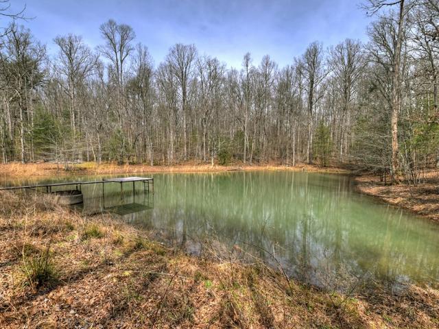8.52 ac Mcnelley Rd, Morganton, GA 30560 | MLS #429320 | Compass