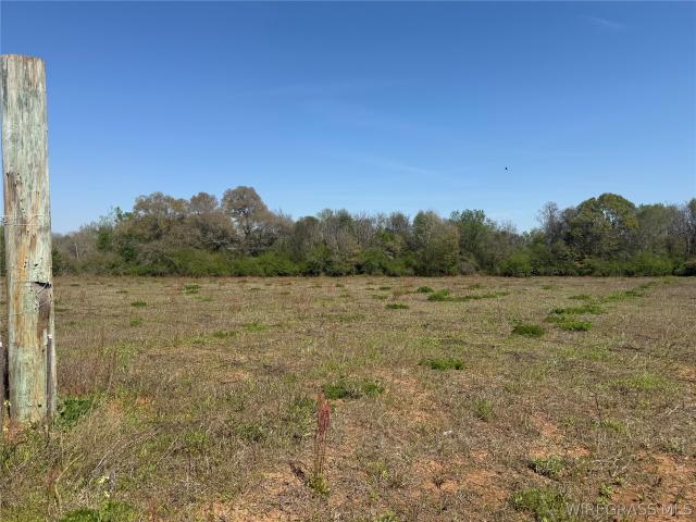 8.53 Acres Omussee Road
