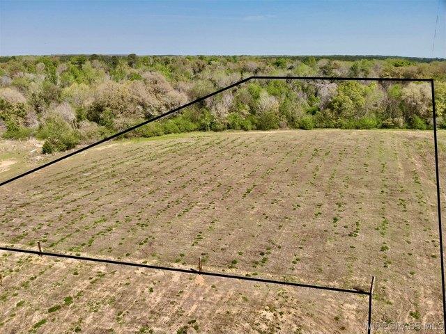 8.53 Acres Omussee Rd, Dothan, AL 36303