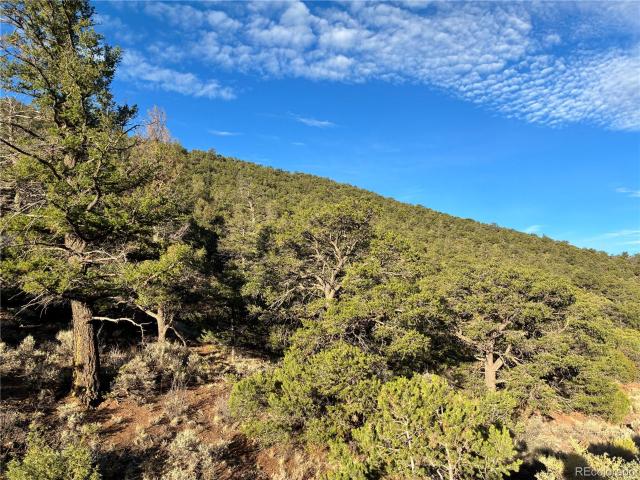 8.5 AC Adelaide Road