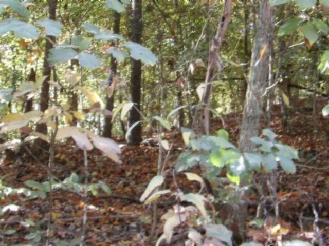 8.60ac Moss Arcot Rd