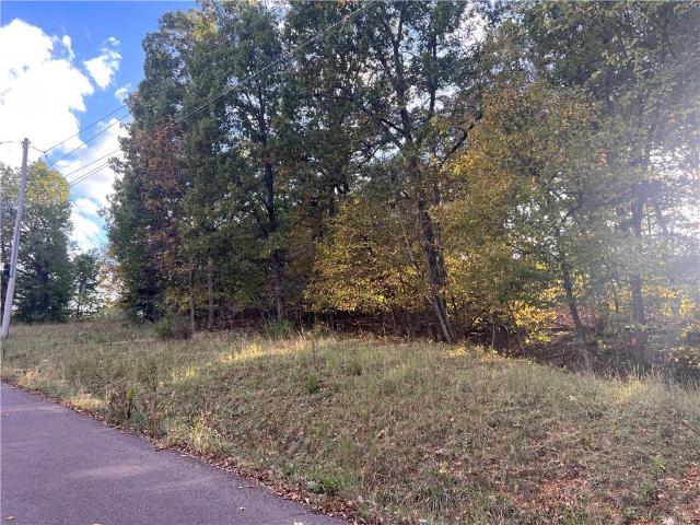8 9 12 &sw 1/4 Red Hollow Rd, Gravois Mills, MO 65037 | MLS #2582 | Compass