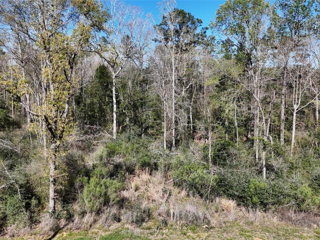 8 9 Aggie Ave, Livingston, TX 77351 | MLS #39134 | Compass