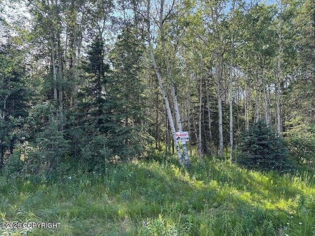 8A2 Lake Rd, Soldotna, AK 99669