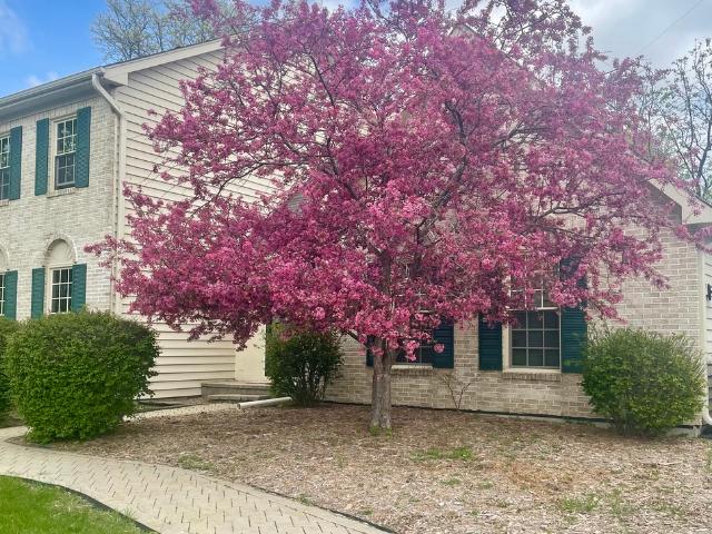 8S765 Singletree Lane