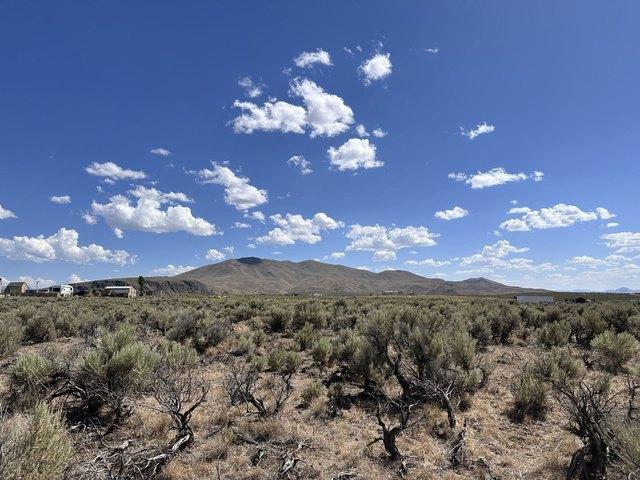 8th St, Ryndon, NV 89801