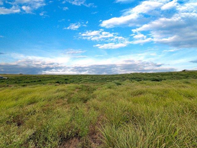 93 4638 Lio Lani Rd, Naalehu, HI 96772
