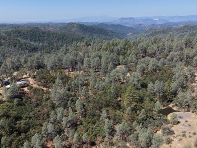 93.57 Acre Backbone Rd, Bella Vista, CA 96008