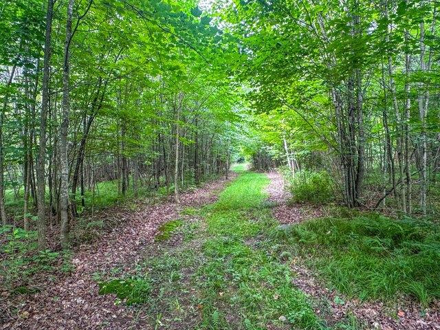 93 89A Kundinger Rd, Park Falls, WI 54552