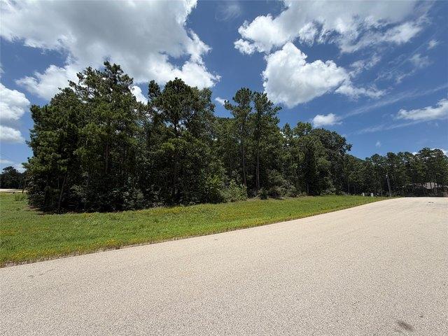 93 23 11 Sanctuary Rd, Huntsville, TX 77340